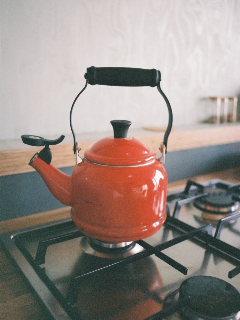Photography & Travel | Camera & Clementine